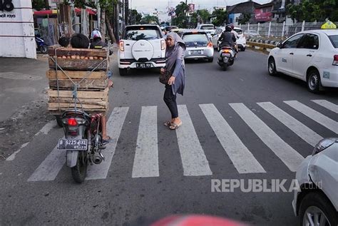 Zebracross Object Detection Dataset By This