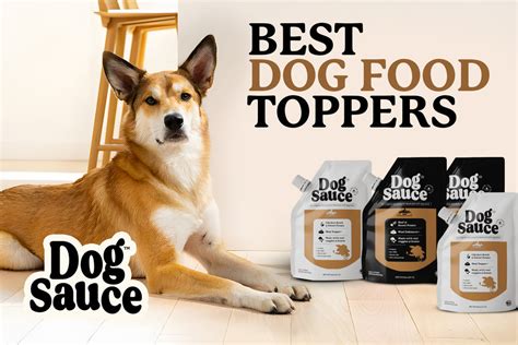 Best Dog Food Toppers Dogsauce