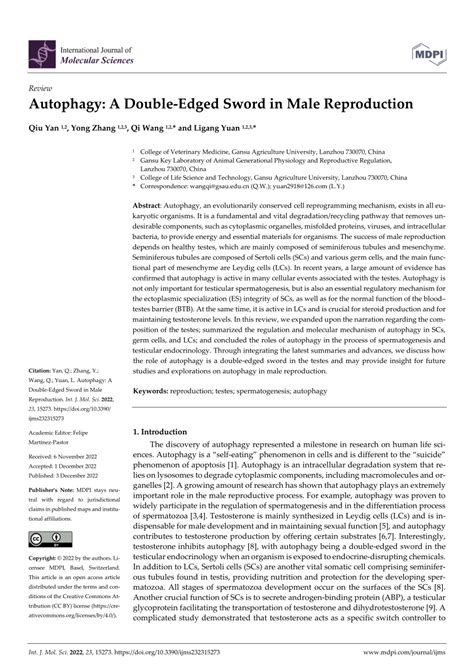 Pdf Autophagy A Double Edged Sword In Male Reproduction