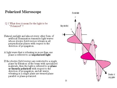 Polarized Microscope Q What Does It Mean