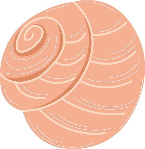 Ocean Inspired Shell Graphics 53825606 Vector Art At Vecteezy