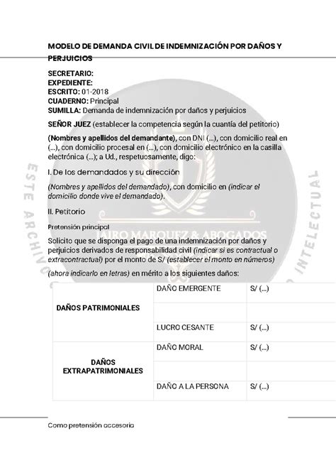 Modelo De Demanda Civil De Indemnización Por Daños Y Perjuicios