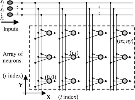 Self Organizing Map Architecture With N Inputs And Nxny Neurons Download Scientific Diagram