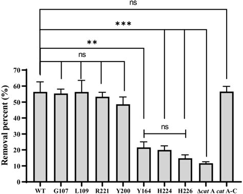 Removal Percent Of Catechol By Wild Type C12o And Its Site Directed Download Scientific Diagram