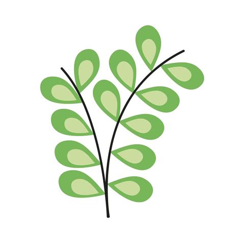 Rama Verde Con Hojas Planta Icono De Naturaleza Decorativa Vector En Vecteezy