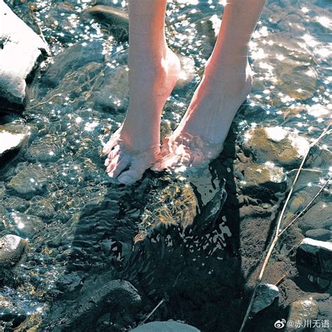 Dannylailai 的个人主页 微博 花瓣网