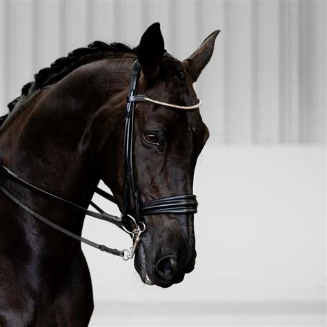 Magnifique Rolled Leather Bridle Double