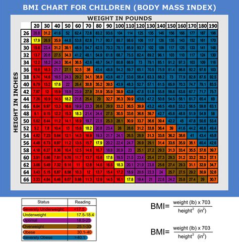 Gallery Bmi