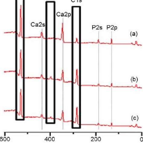 Chemical Compositions Of A β Tcp B Dopa βtcp And C Sva10 β Tcp