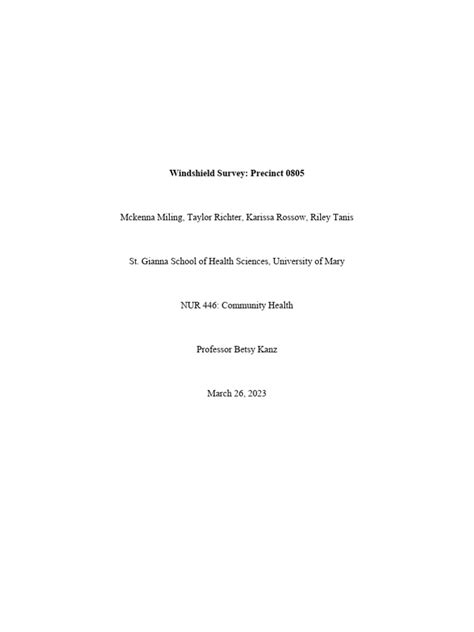 Community Project Pdf