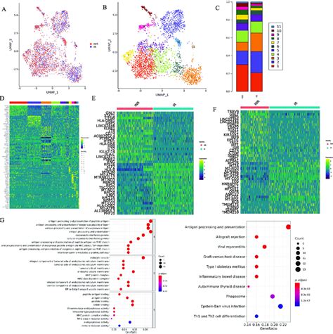 Profile Of Cd8 Effector T Cells In Inrs A Umap Visualization Of Cd8 Download Scientific