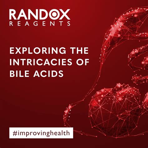 Exploring The Intricacies Of Bile Acids