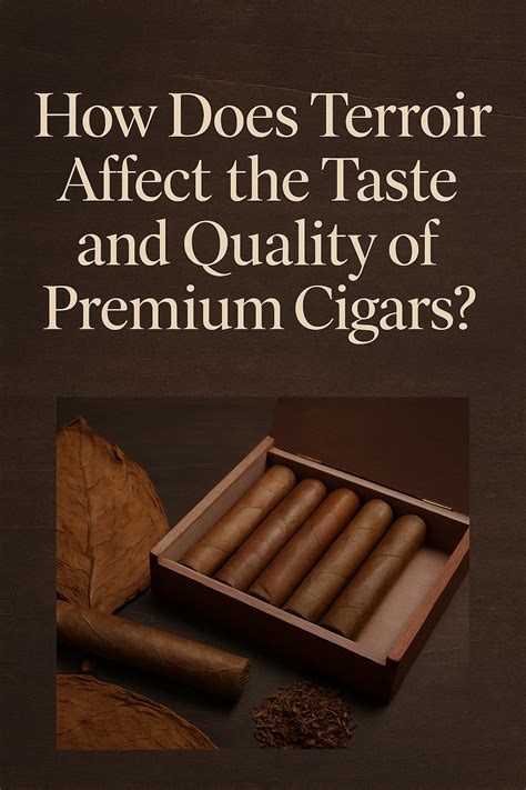 Cigars Vs Cigarettes The Truth About Premium Tobacco Cigar Inc