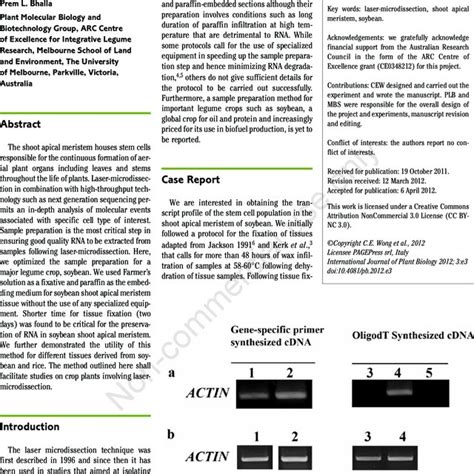 Reverse Transcriptase Polymerase Chain Reaction Analysis Of Rna Download Scientific Diagram
