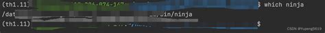 Ninja Is Required To Load C Extensions Python Yupeng