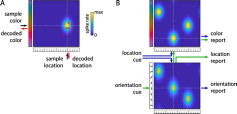 Figure From Mechanisms Of Feature Binding In Visual Working Memory