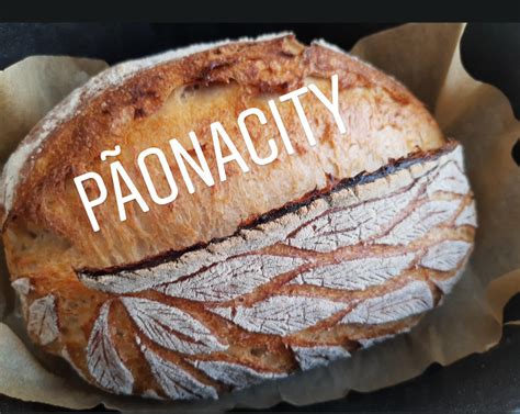 pãonacity 60 oficina de pão de fermentação natural para iniciantes