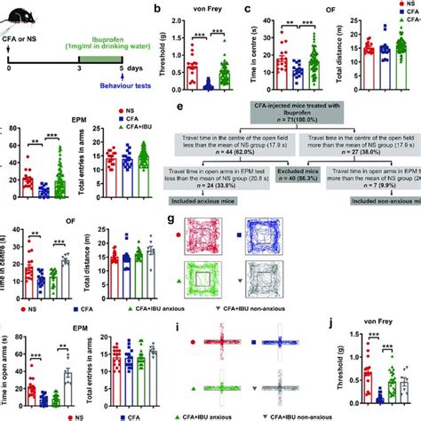 Chronic Pain Induced Anxiety Like Behaviours In Mice Treated With
