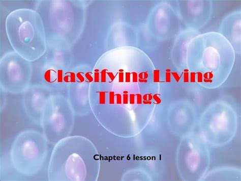 Grade 4 Science What Are Some Forms Of Energy Pptx Physics Science