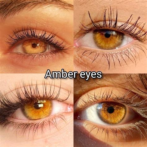 Amber Eyes Colour Yellow Eye Color Natural Different Shades Of Amber