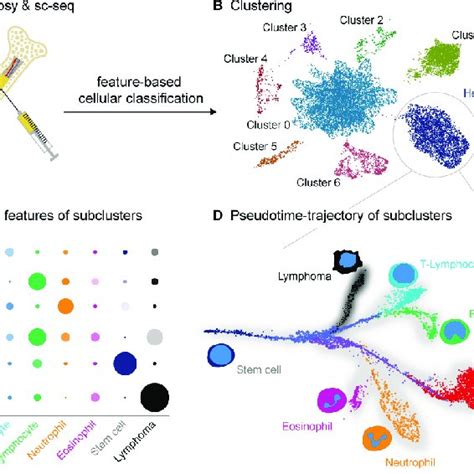 Workflow Of Single Cell Sequencing Sc Seq Data Analysis And