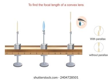 Find Focal Length Convex Lens Physics Stock Vector Royalty Free