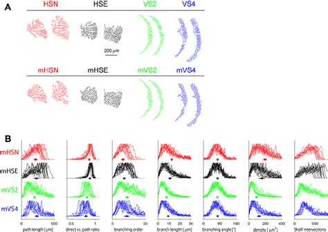 Artificial Dendrites Grown In Real Dendrite Spanning Fields A