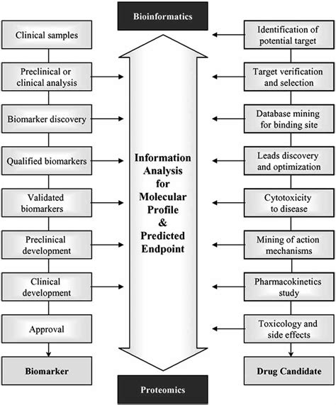 Schematic Flow Diagram Of The Applications Of Bioinformatics In Download Scientific Diagram