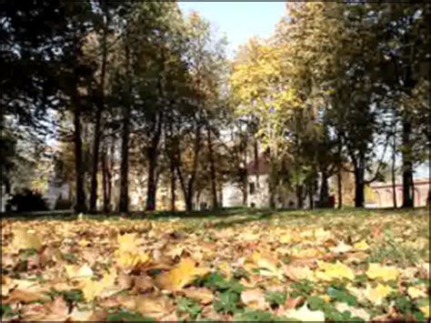 AVS YOU AVS Video Editor Working With AVS Video Editor Editing Videos Video Effects