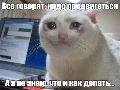 Мем Все говорят надо продвигаться А я не знаю что и как делать