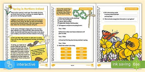Spring Primary 3 Reading Activity