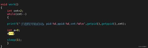 Linux 进程等待 Csdn博客