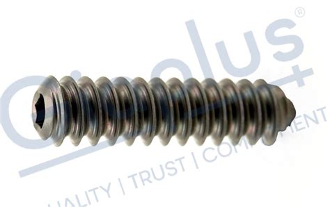 Interference Acl Screw Headless At ₹ 2700piece Acl Screws In