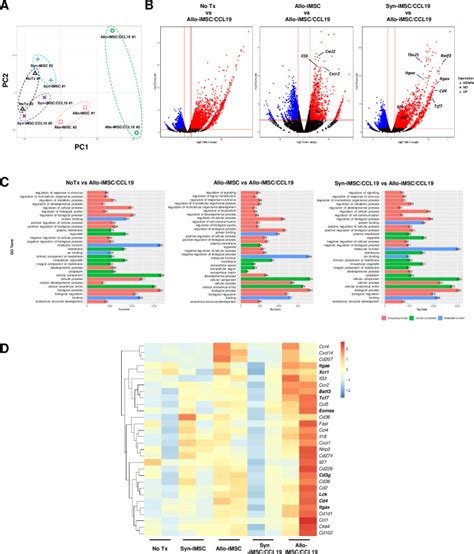 Local Cell Therapy Using Ccl19 Expressing Allogeneic Mesenchymal Stem