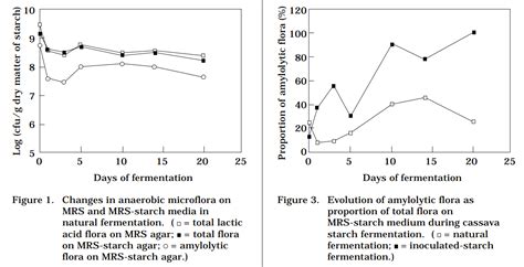 Improving Cassava Sour Starch Quality In Colombia Nguyenstarch