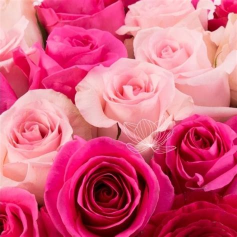 Angela Garrison Youtube