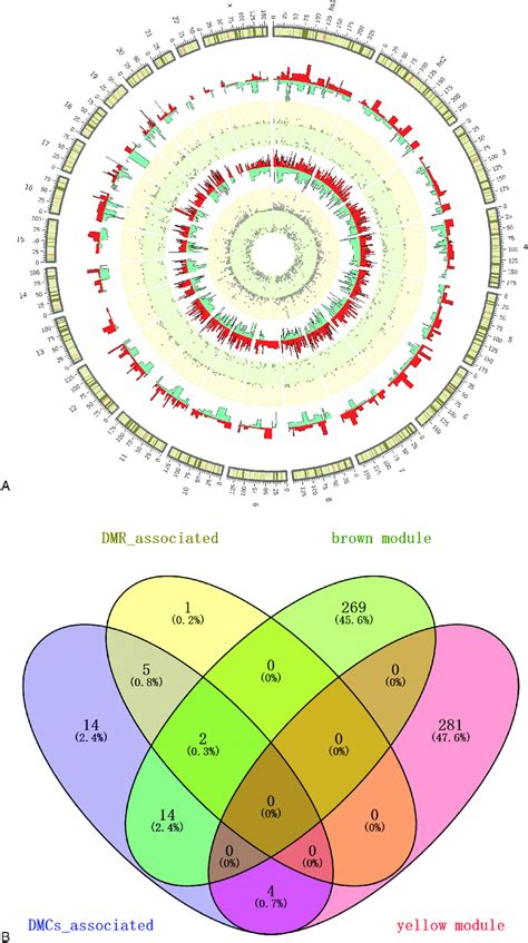 Interaction Of Dna Methylation And Gene Expression Of Cancer A Circos