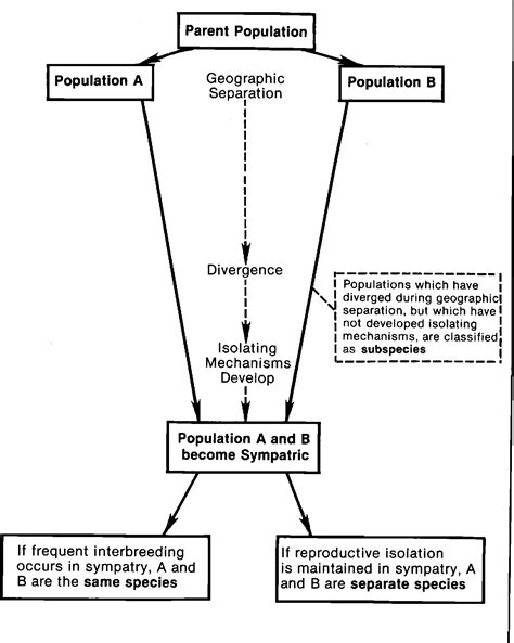 Figure 1 From The Classification Of Avian Species And Subspecies A