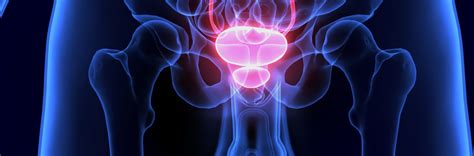 Masterclass In Imaging Of Prostate Cancer Oncology Systems Limited