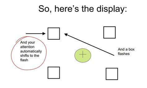 201 Attention Flashcards Quizlet