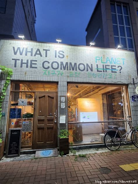 대구 동인동카페 추천 제로웨이스트샵 비건 식당이 있는 극락에서 브리타 필터 재활용 도전솔직후기 브리타 필터 해킹 더커먼 The Common 네이버 블로그