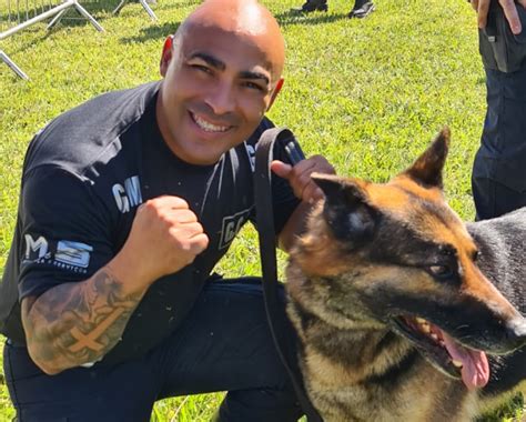 Cães da GCM de Santana de Parnaíba são campeões do º Campeonato dos Cães de Polícia das GCMs