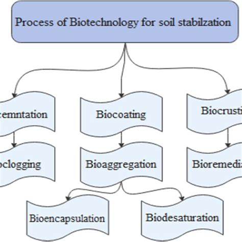 Biotechnology Process In Engineering Download Scientific Diagram