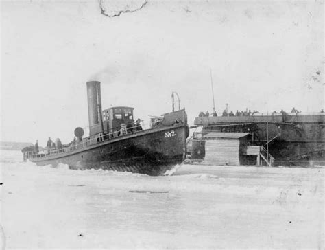 Морской коктейль Humus — Livejournal