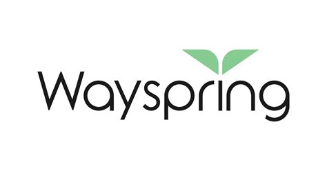Wayspring And Highmark Health Options Working Together To Better