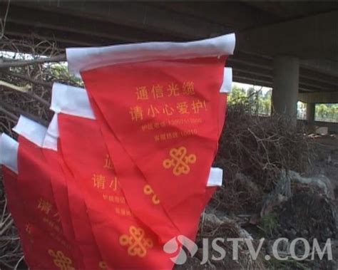 施工挖断光纤 司机竟无证操作