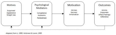 Relationships Between Sdt Mediators Motivation Outcomes And Motives