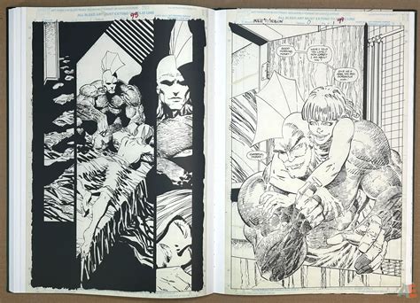 Savage Dragon Vault Edition Vol 1 • Artists Edition Index