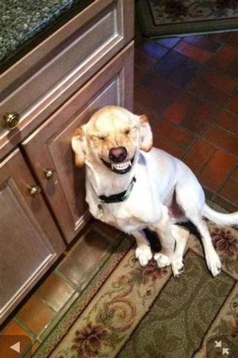 Look Up Marlon Say Cheese Rpics