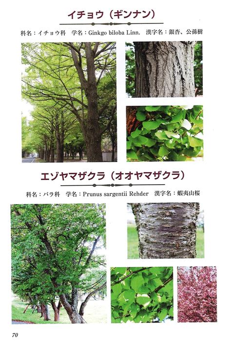 樹木の名前を知る図鑑を発刊 大好評 北海道森と緑の会